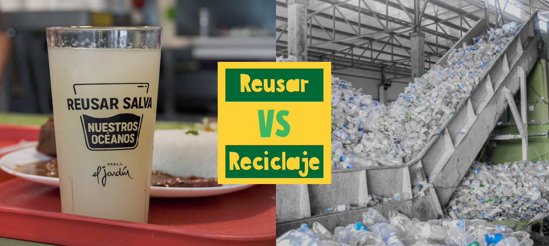 RECICLAJE VS REUSAR: ¿CUÁL ES LA MEJOR SOLUCIÓN? - Reusa Ecuador
